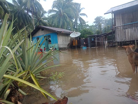 Banjir Hanya Cerita Berulang Tanpa Penanganan Serius Dari Pemkab Nabire - Nabire.Net
