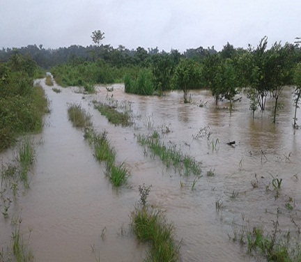 Banjir dan Longsor Terjadi di Distrik Yaro Kabupaten Nabire - Nabire.Net